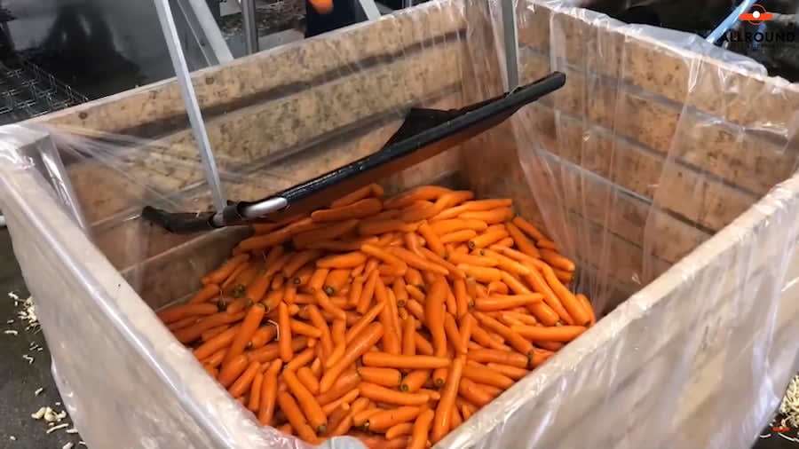 Carrot Washing, Grading, Packing Lines | Quadra Machinery