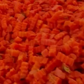 Carrot Sorting Machines | Quadra Machinery