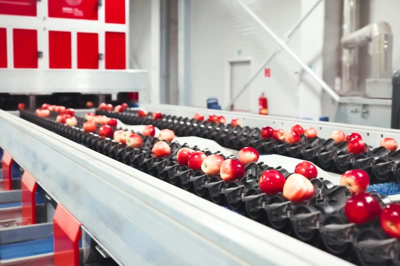 Agricultural Machines for Processing Fruits and Vegetables | Quadra ...