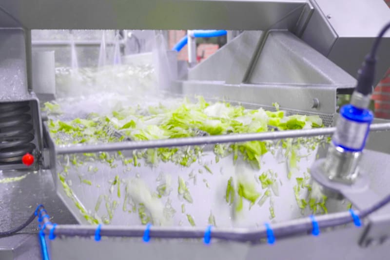 Agricultural Machines for Processing Fruits and Vegetables | Quadra Machinery