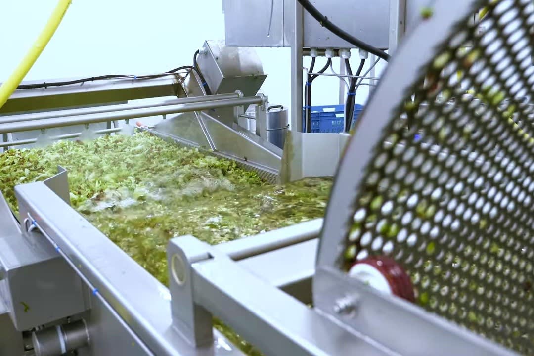 Agricultural Machines for Processing Fruits and Vegetables | Quadra ...