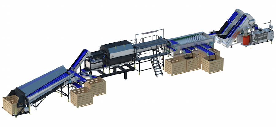 Onion Grading and Packing Lines | Quadra Machinery