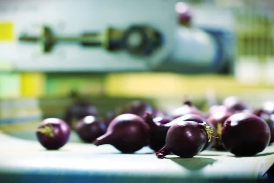 Onion Grading and Packing Lines | Quadra Machinery