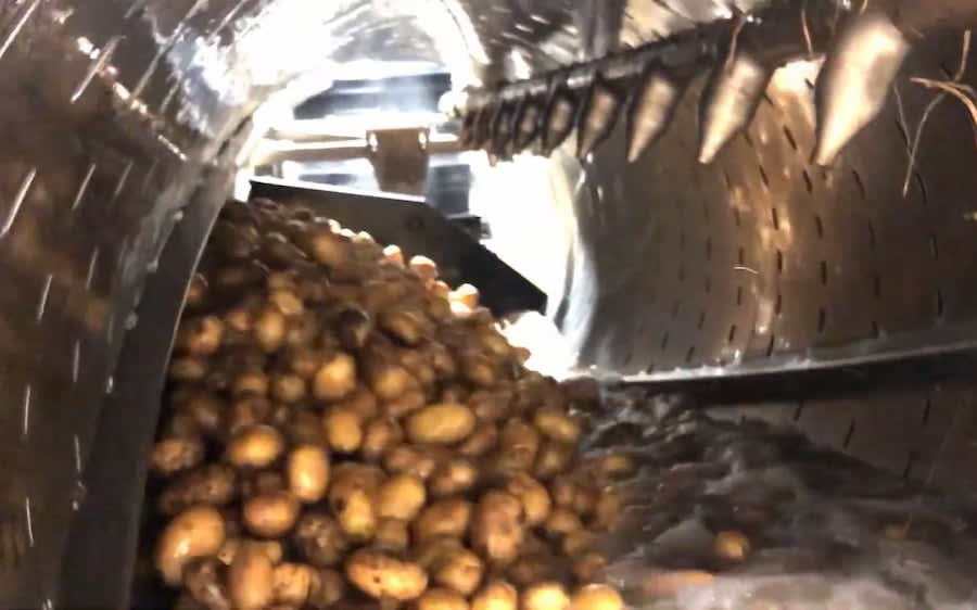 Potato Washing, Grading, Packing Lines | Quadra Machinery