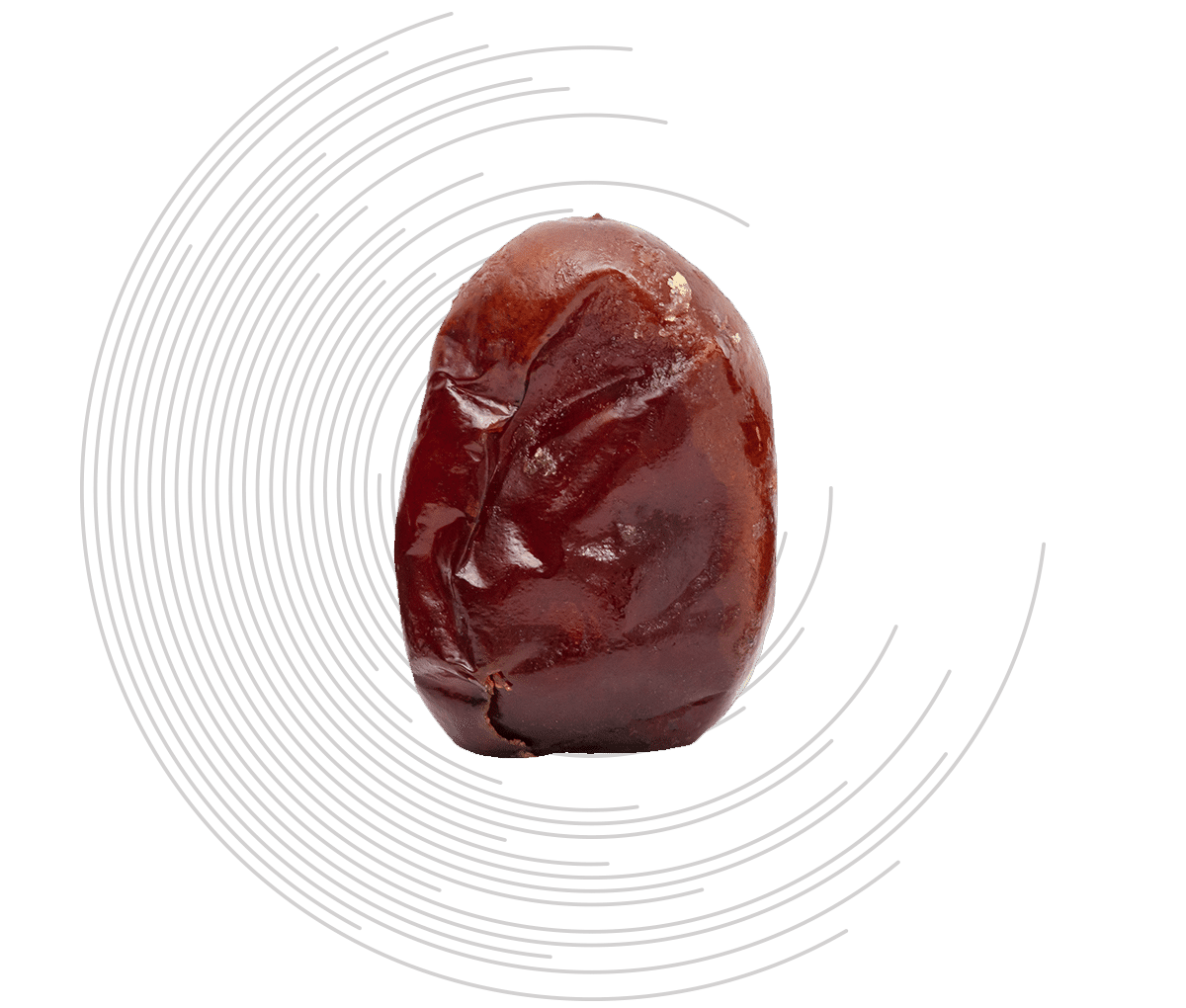 Date Sorting Machines | Quadra Machinery