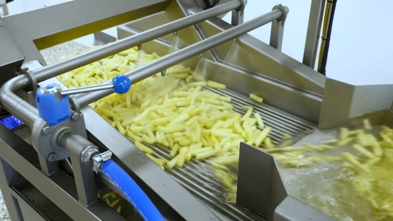 Fresh Cut Processing Lines | Quadra Machinery