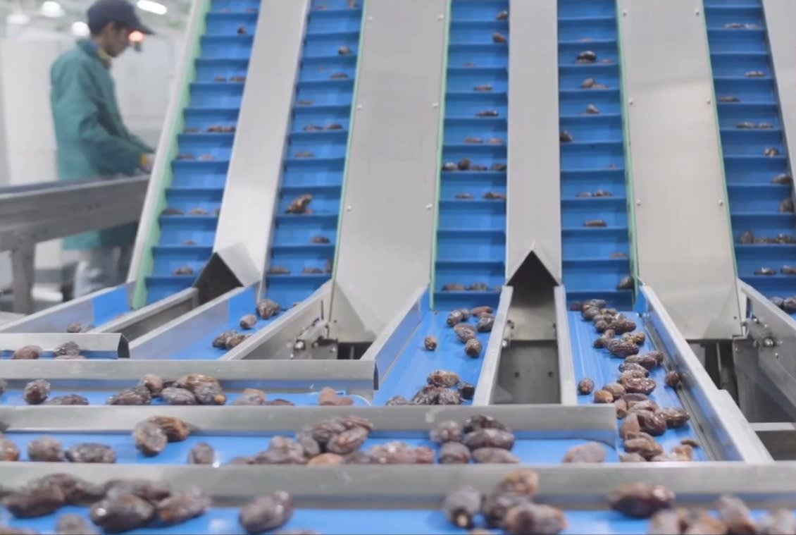 Fruit Sorting Lines | Quadra Machinery