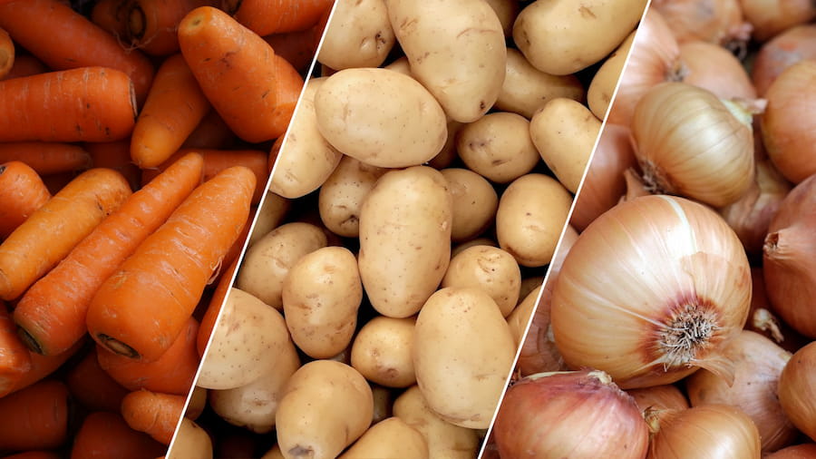 Vegetable Processing Lines | Quadra Machinery