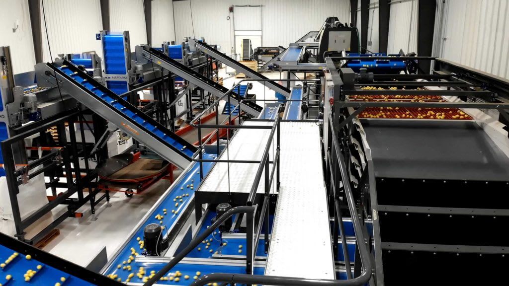 Potato Washing, Grading, Packing Lines | Quadra Machinery