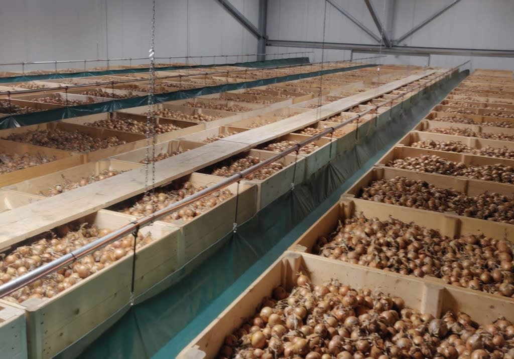 Vegetable Processing Lines | Quadra Machinery