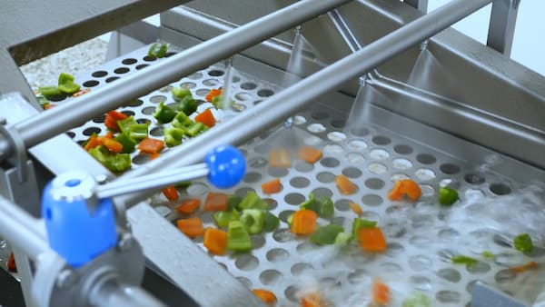 Fresh Cut Processing Lines | Quadra Machinery