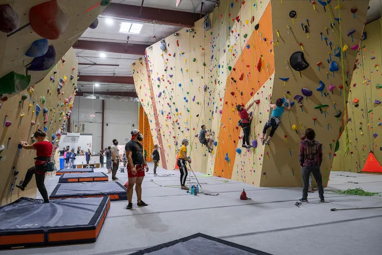 4.6★ Philadelphia Rock Gyms - Malvern | Malvern Climbing Gym