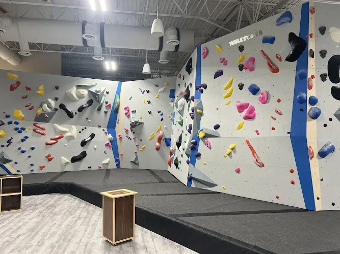 4.8★ Central Rock Gym | Tampa Climbing Gym