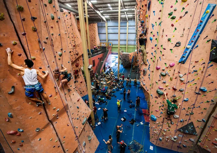 4.5★ Movement Timonium | Timonium Climbing Gym