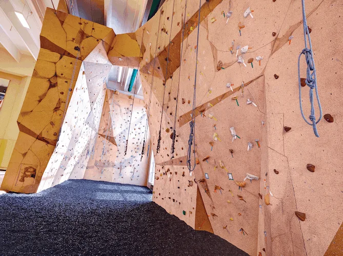 4.1★ Life Time | Berkeley Heights Climbing Gym