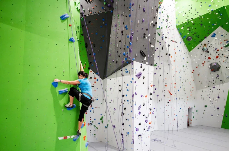 4.6★ Onsight Rock Gym | Knoxville Climbing Gym