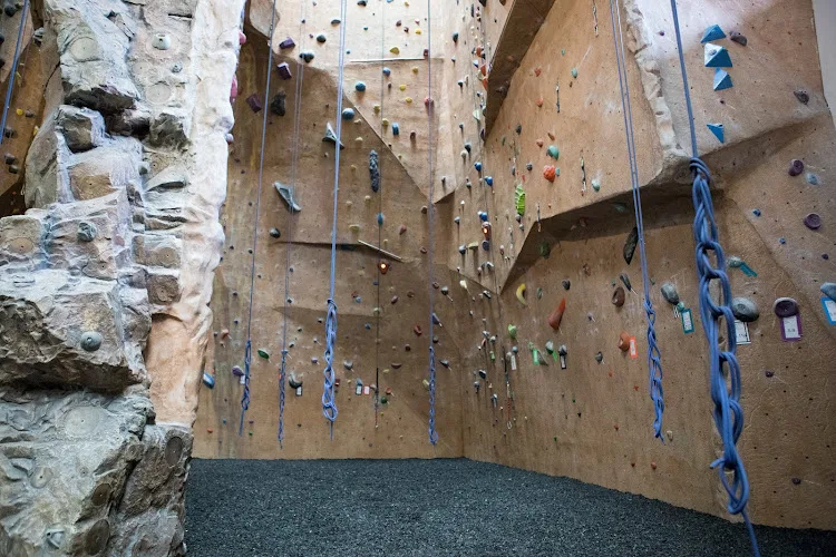 Best Top Rope Climbing Gyms (P37) | IndoorClimbingGym