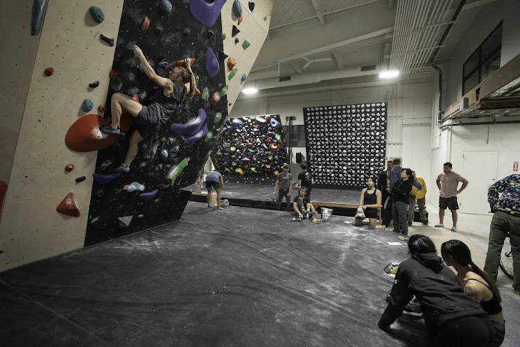 4.6★ Mesa Rim Climbing Center | Reno Climbing Gym