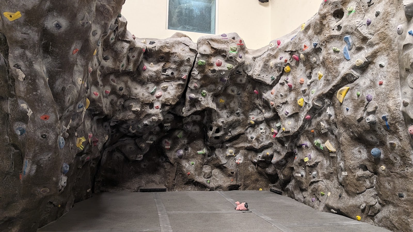 4.6★ Crags Climbing Center | Seattle Climbing Gym