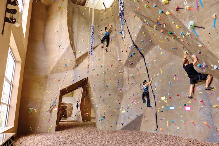 4.6★ Movement Columbia | Columbia Climbing Gym