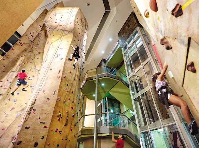 Momentum Indoor Climbing Silver Street | Houston Climbing...