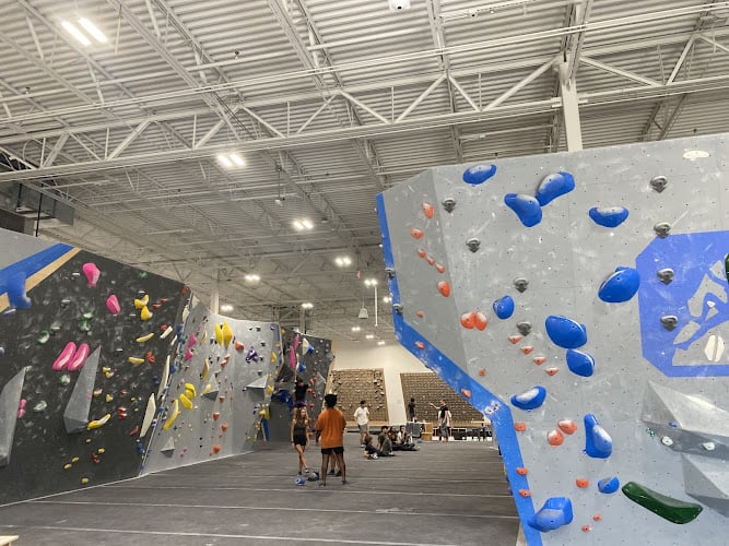 4.8★ Central Rock Gym | Orlando Climbing Gym