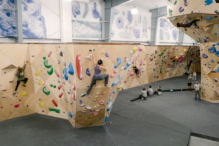 4.8★ Stone Climbing - STA | St. Augustine Climbing Gym