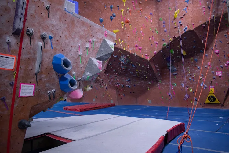 4.6★ New Jersey Rock Gym | Fairfield Climbing Gym