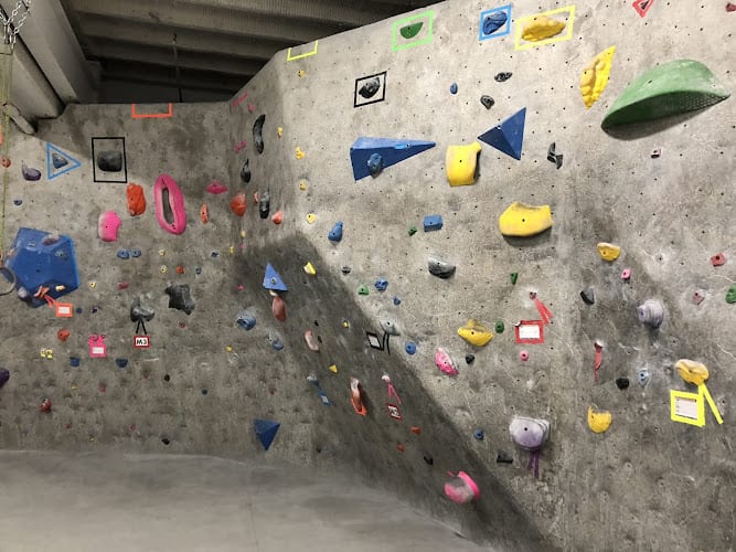 4.6★ Rock Spot Climbing: South Boston | Boston Climbing Gym