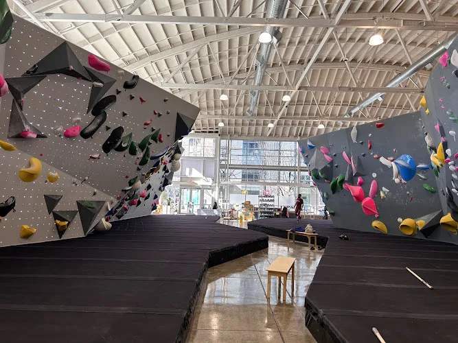 4.6★ Portland Rock Gym - Beaverton | Portland Climbing Gym