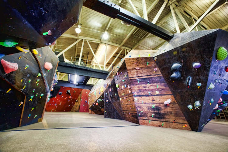 4.5★ The Circuit Bouldering Gym SW | Portland Climbing Gym