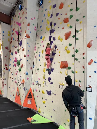 4.7★ Rapp Rocks Climbing Gym | Fredericksburg Climbing Gym