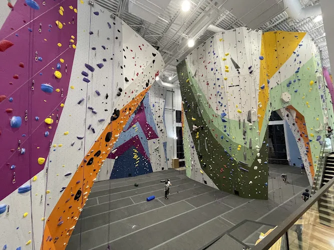 4.6★ Movement Design District | Dallas Climbing Gym