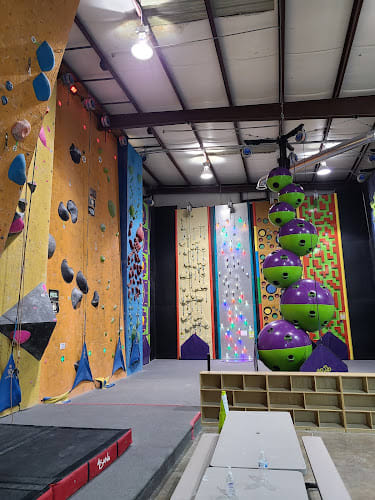 4.6★ Central Rock Gym | Kennesaw Climbing Gym