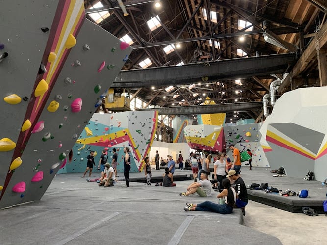 4.7★ Pacific Pipe | Oakland Climbing Gym