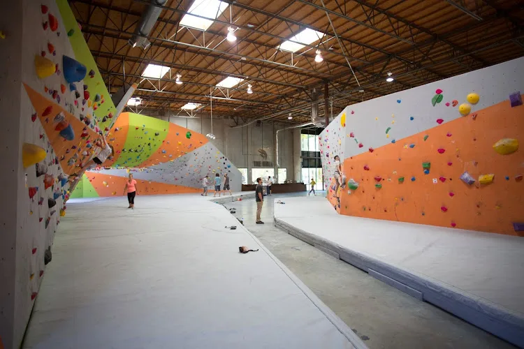 4.8★ The Wall Climbing Gym | Vista Climbing Gym
