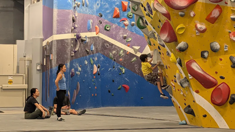 Sender One Climbing - Westwood | Los Angeles Climbing Gym