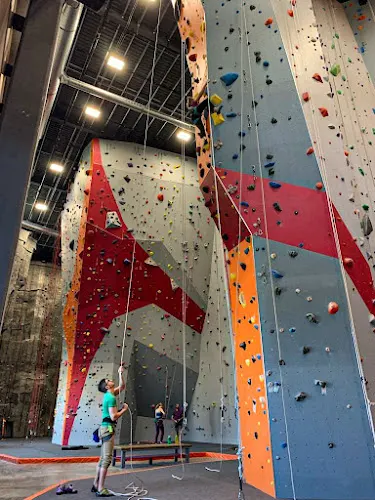 4.7★ The Commons Climbing Gym | Boise Climbing Gym