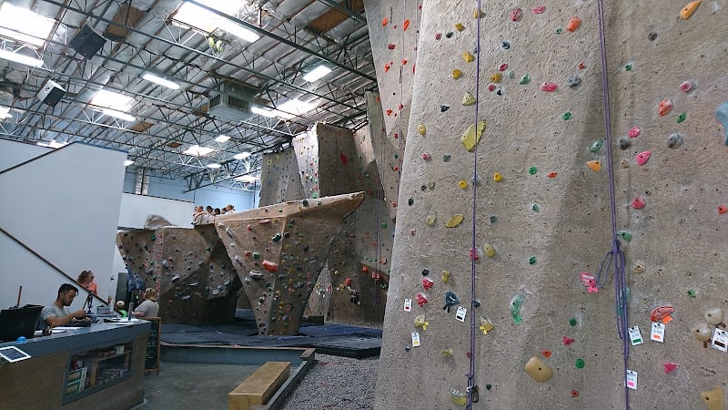 4.6★ Vertical Hold | Poway Climbing Gym
