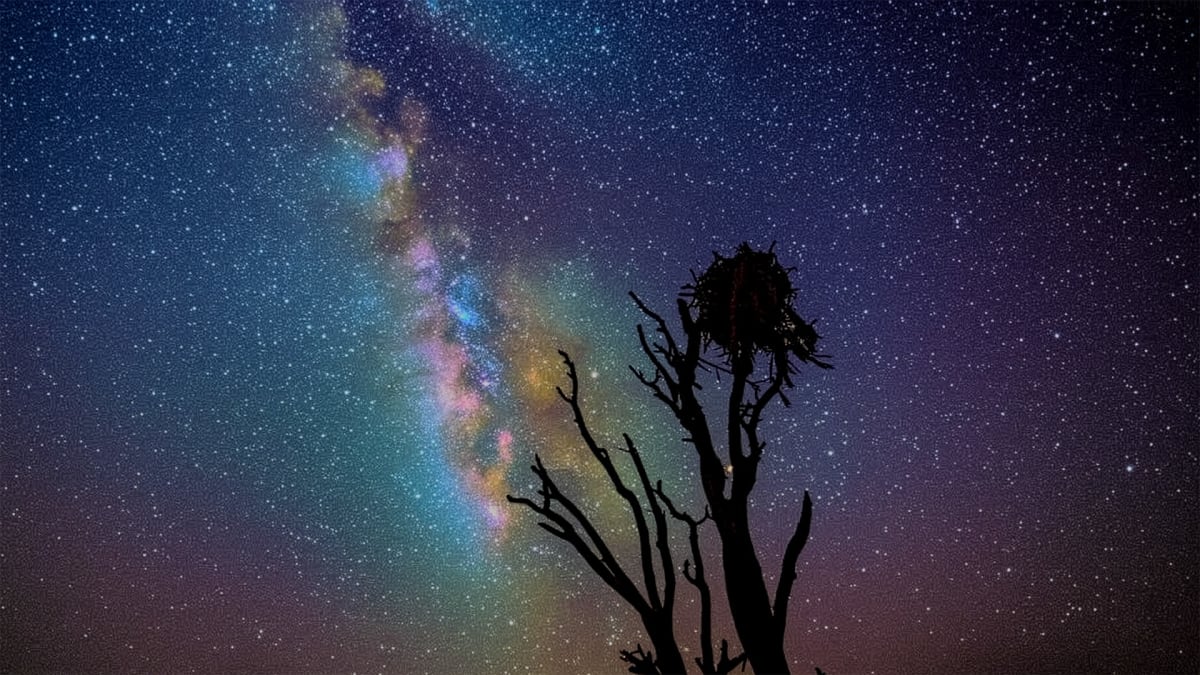 Space Coast by Day, Galaxy Coast by Night - Guide to Florida.