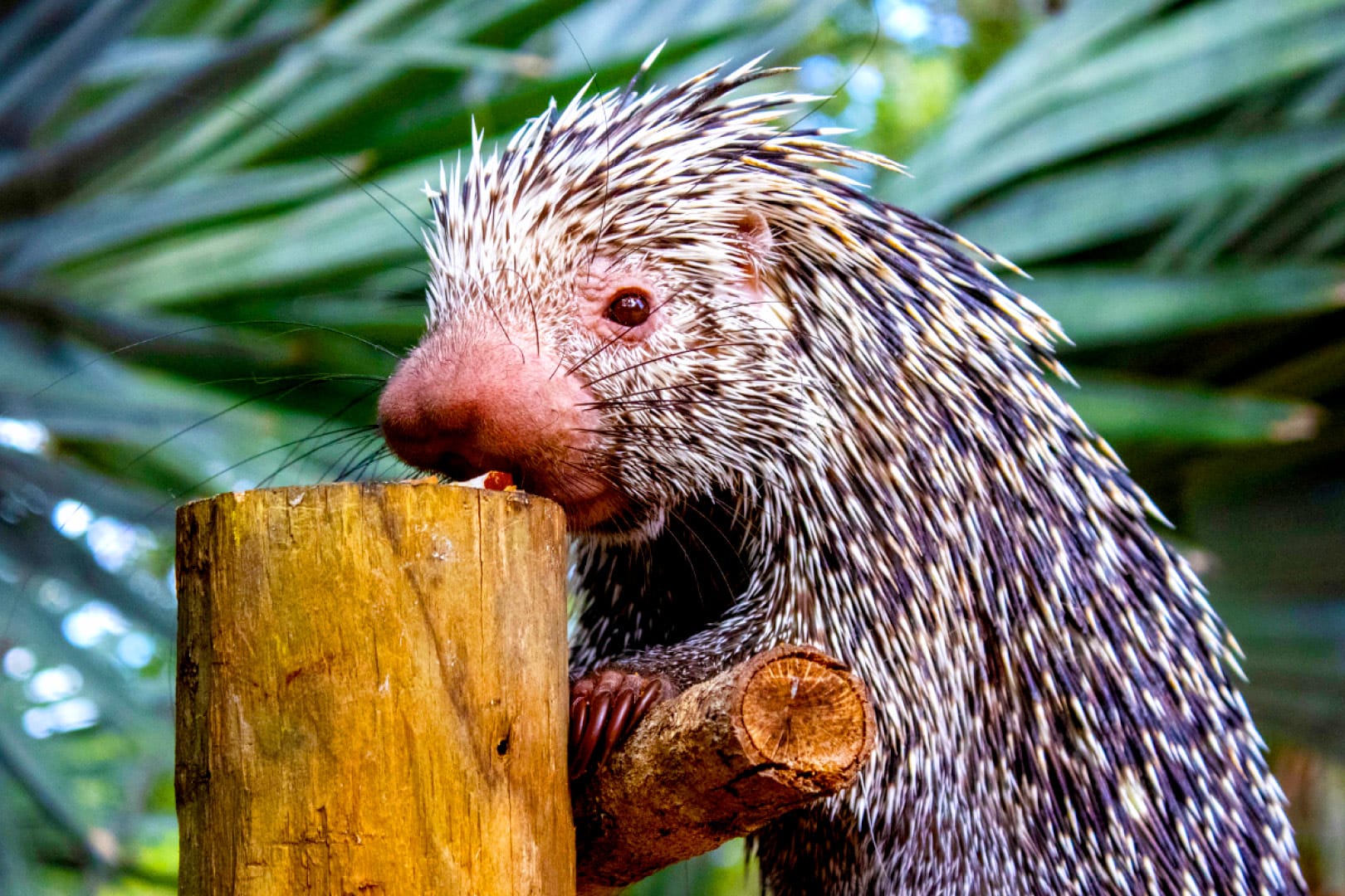 Space Coast Region - Guide to Florida.