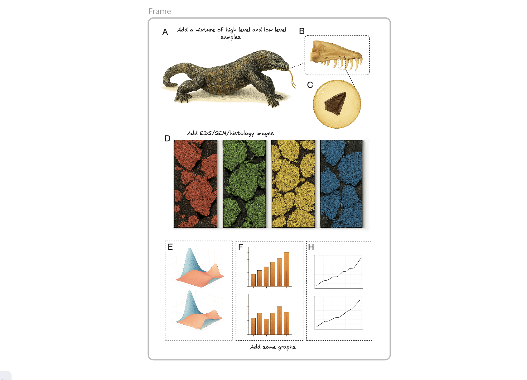Illustrae - Professional Scientific Illustration Platform