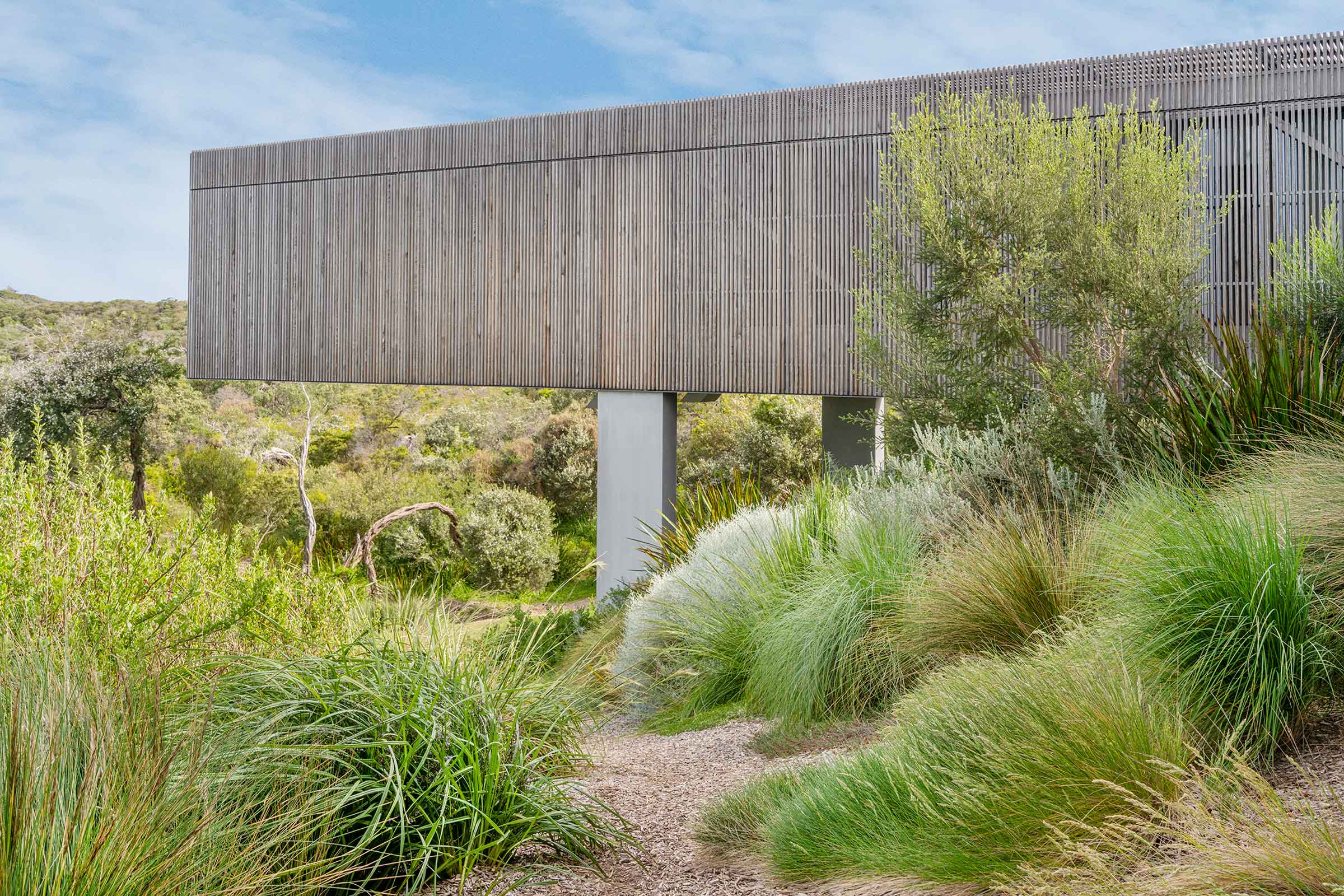 Sam Cox Landscape case study | Design by Nature