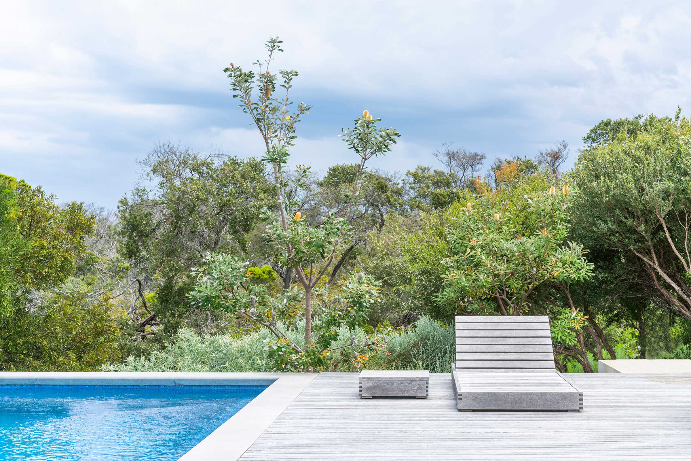 Sam Cox Landscape case study | Design by Nature