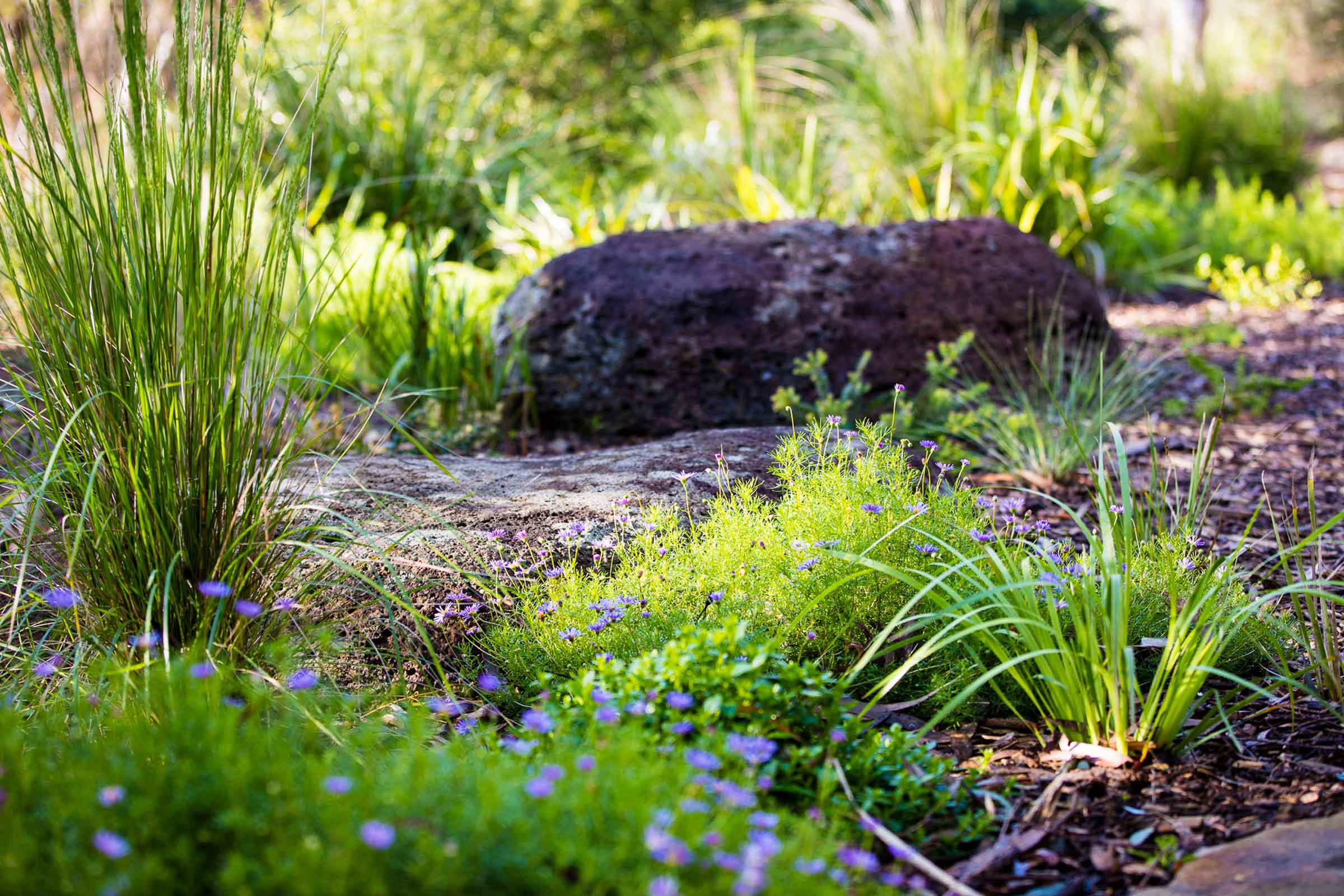 Sam Cox Landscape case study | Design by Nature