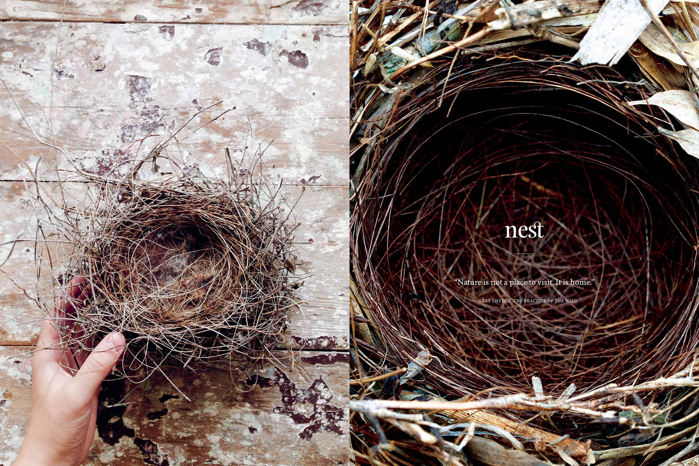 365 Nature case study | Design by Nature