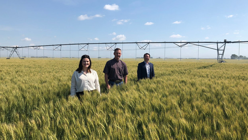 $100,000 to support irrigation in Southeastern Alberta | Lethbridge ...