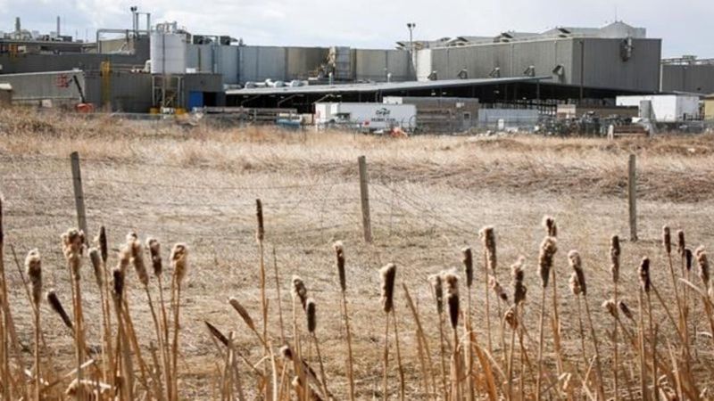 Tentative deal at Cargill plant in High River | Lethbridge News Now