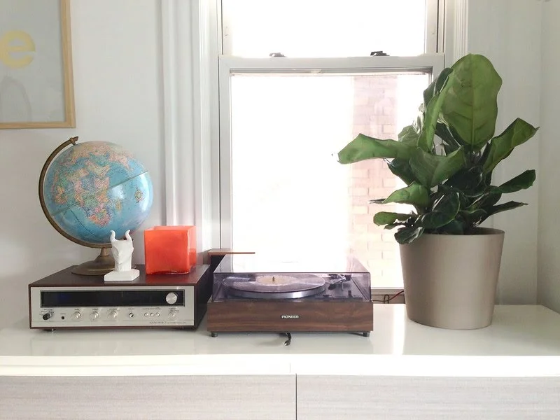 Fiddle Leaf Fig Dropping Leaves? 4 Reasons Why & How to Fix