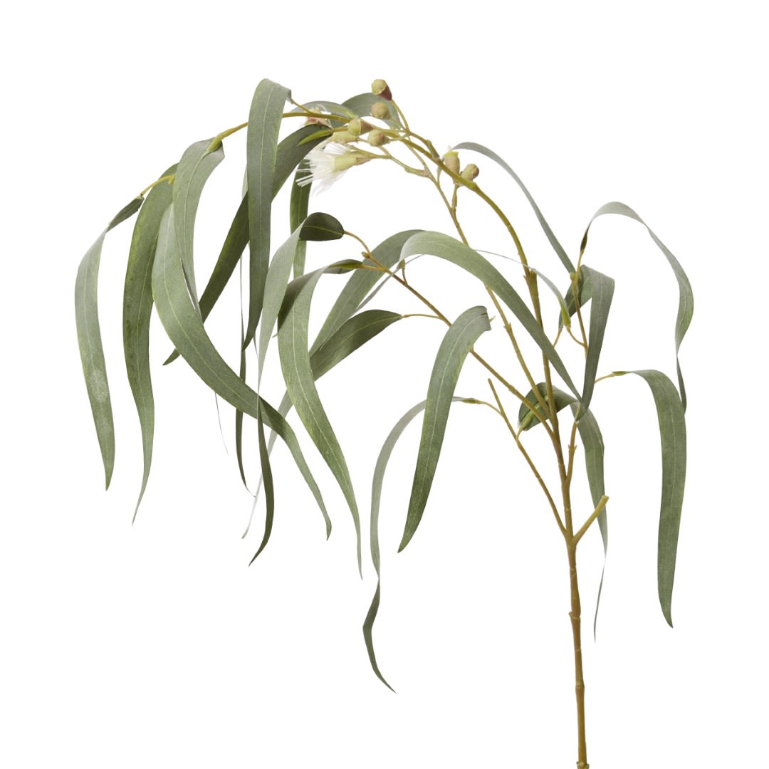 Buy Eucy Flowering Spray White/Grey Green - 112cm - James Lane Australia